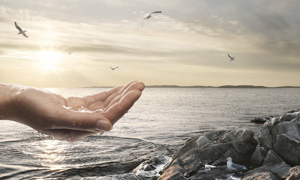 Sigma Civil fortsätter satsningen på området miljö